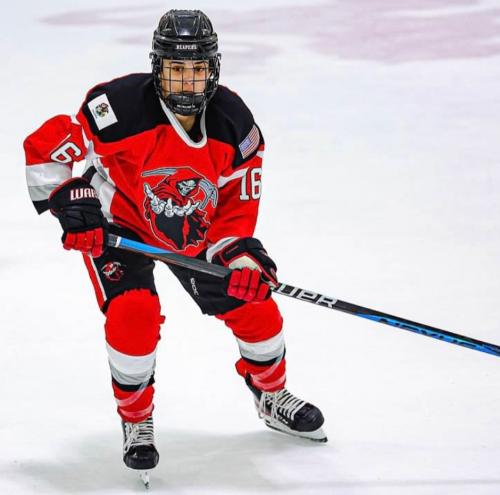 Colin Hazlett - Stats & Facts - Elite Prospects