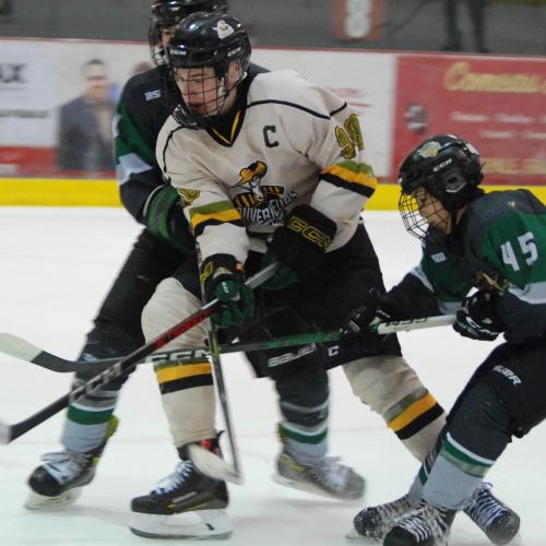 Alexis Theberge - Stats, Contract, Salary & More