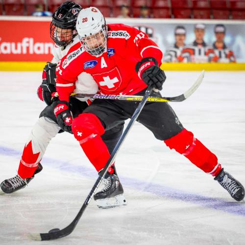 David Bosson - Stats, Contract, Salary & More