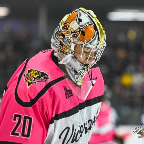 Gabriel D'Aigle - Elite Prospects