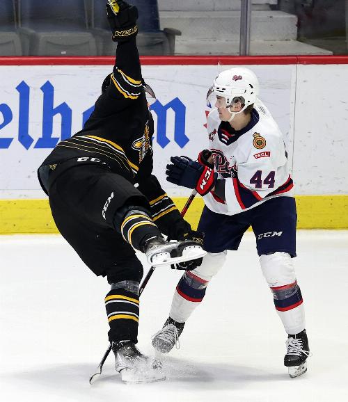 Layton Feist - Elite Prospects