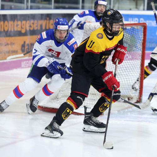 Carlos Händel - Elite Prospects