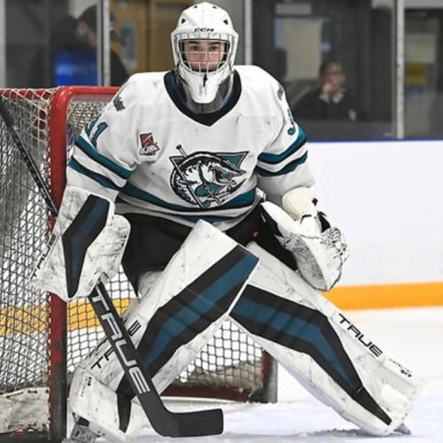 Jason Tremblay - Stats, Contract, Salary & More