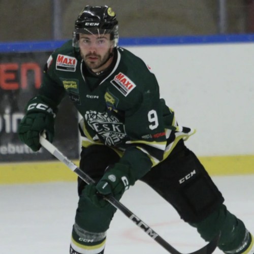 Tim Friberg - Stats & Facts - Elite Prospects