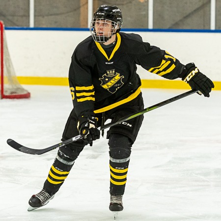 Henrik Hallberg - Elite Prospects