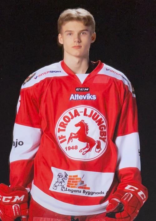 Alex Möller - Stats & Facts - Elite Prospects
