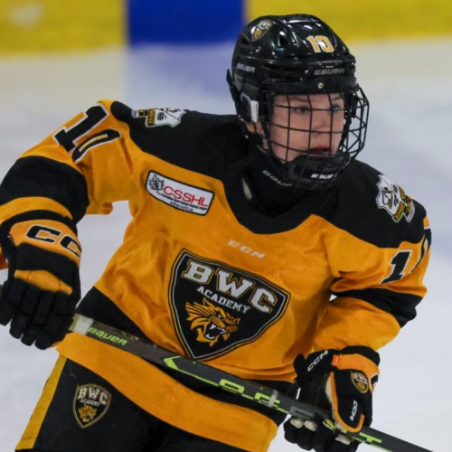 Nicholas Voinea - Stats, Contract, Salary & More