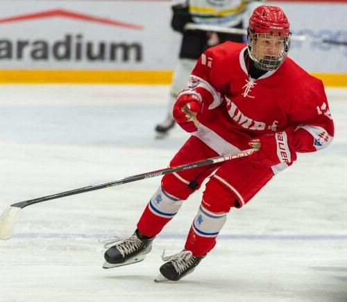 Alexander Zetterberg - Elite Prospects