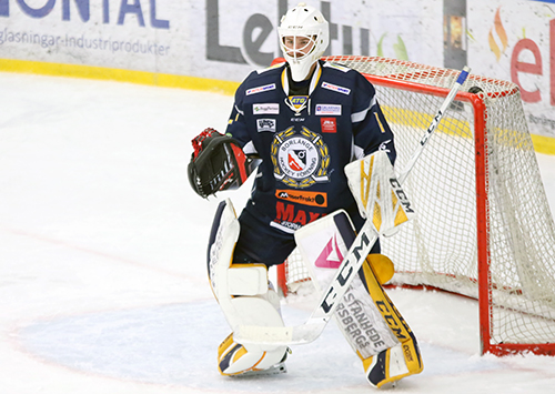 Alexander Johansson - Stats & Facts - Elite Prospects