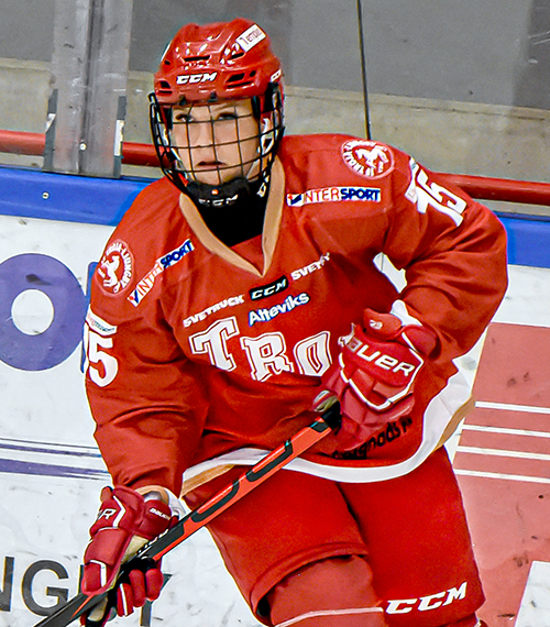 Alva Johansson - Stats & Facts - Elite Prospects