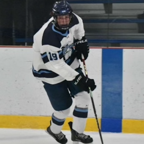 Alexis Billequey - Stats & Facts - Elite Prospects