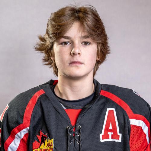Matthew Perreault - Stats & Facts - Elite Prospects