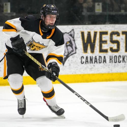 Gavyn Yon - Stats, Contract, Salary & More