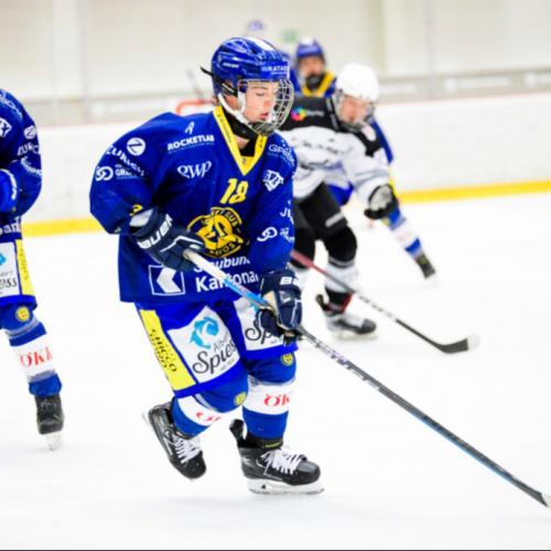 Stepan Stejskal - Stats, Contract, Salary & More