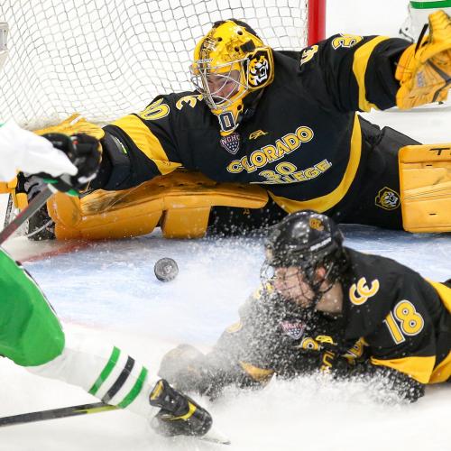 Matt Vernon - Stats & Facts - Elite Prospects