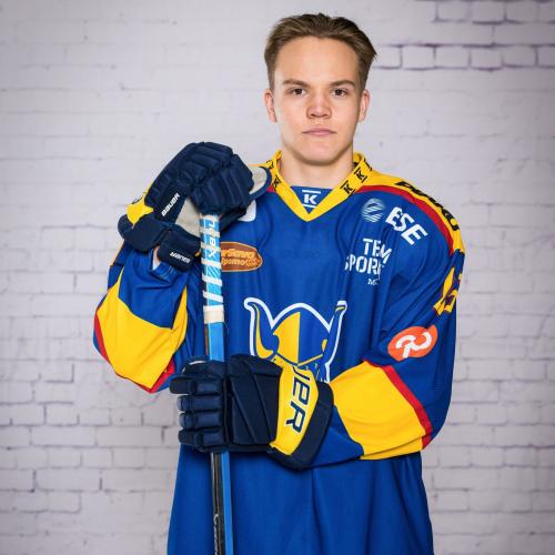 Samuel Sallinen - Stats & Facts - Elite Prospects