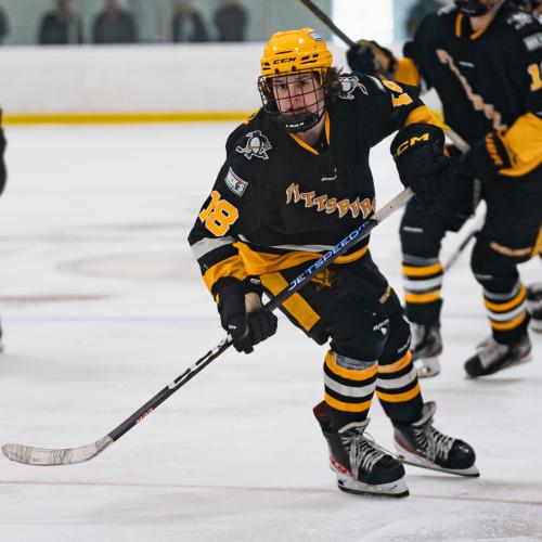 L.J. Mooney - Stats & Facts - Elite Prospects