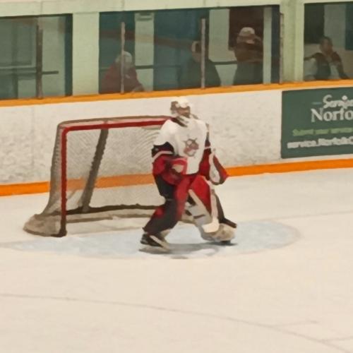 Logan McLellan - Stats, Contract, Salary & More