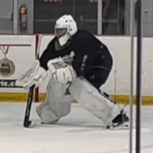 Brody Teitelbaum - Stats & Facts - Elite Prospects