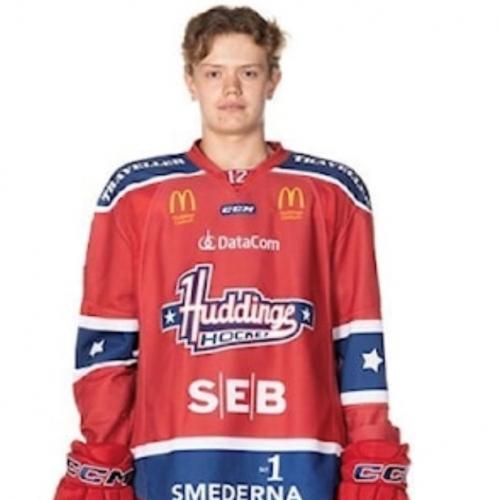 William Gleisner - Stats, Contract, Salary & More