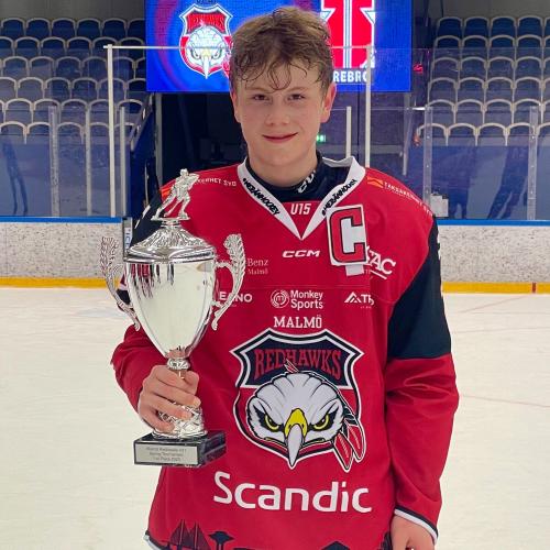 Noel Stenlund - Stats & Facts - Elite Prospects