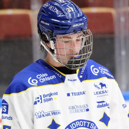 Hugo Kruse - Stats & Facts - Elite Prospects