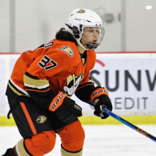 Matthew Soler-Sheffield - Stats, Contract, Salary & More