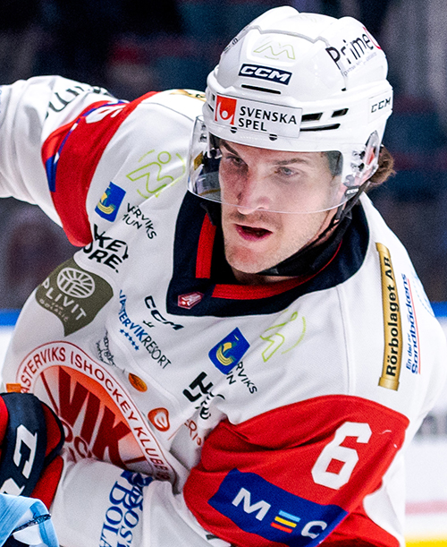 Daniel Brickley - Elite Prospects