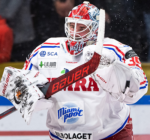 David Rautio - Stats, Contract, Salary & More