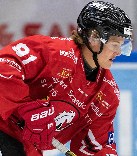 Erik Borg - Elite Prospects