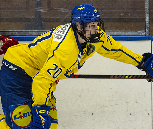 Eddie Genborg - Stats, Contract, Salary & More