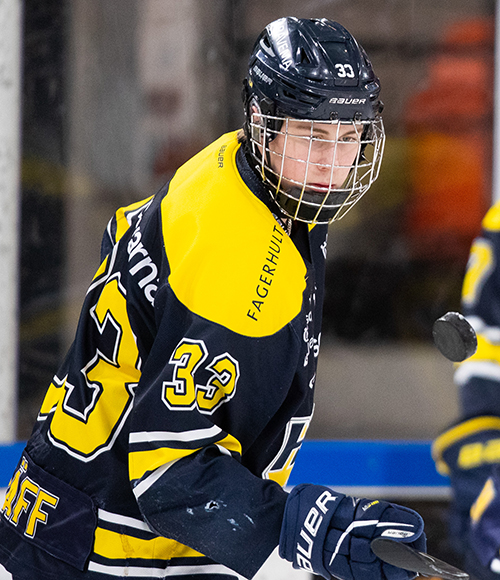 RW Herman Traff - HV71, J20 Nationell, (2024 Draft) | HFBoards - NHL ...