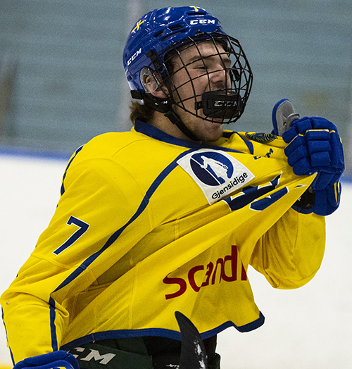 Joe Wahlund - Stats, Contract, Salary & More