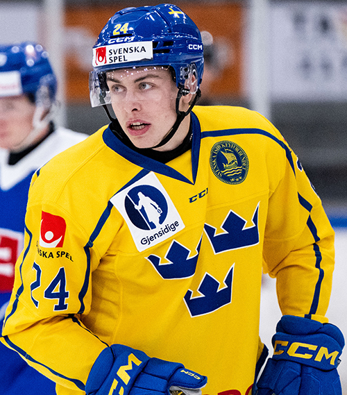 Simon Zether - Stats & Facts - Elite Prospects