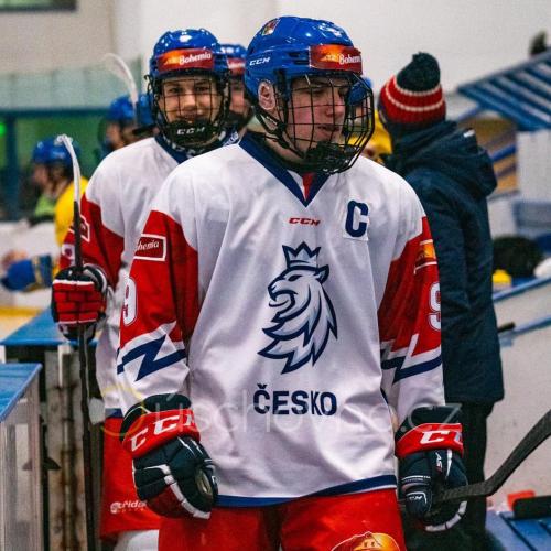 David Holub - Stats, Contract, Salary & More