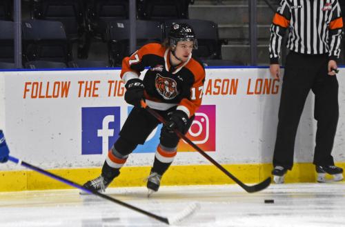 Brayden Boehm - Stats & Facts - Elite Prospects