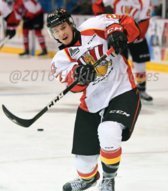 Jordan Martel - Elite Prospects