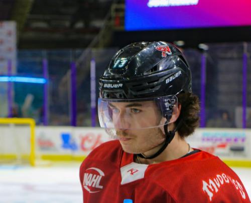 Nick Marino - Stats & Facts - Elite Prospects