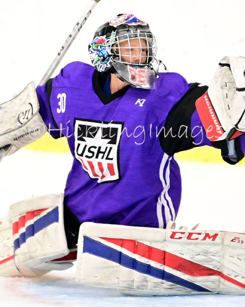 Dylan Bell - Elite Prospects