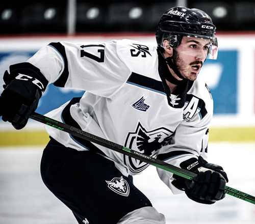 Ben Tardif - Elite Prospects