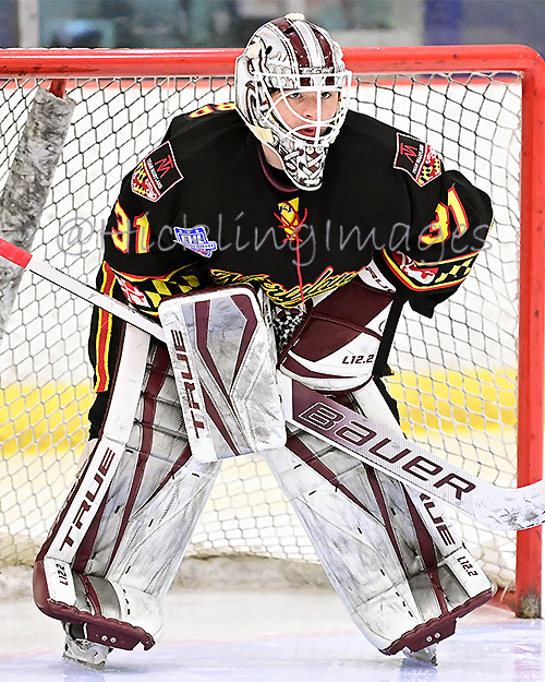 Jackson Bernard - Elite Prospects