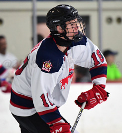 Mark Bevilacqua - Elite Prospects