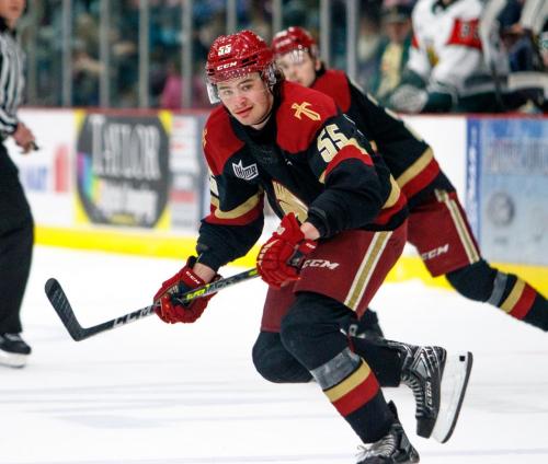 Ty Higgins - Elite Prospects