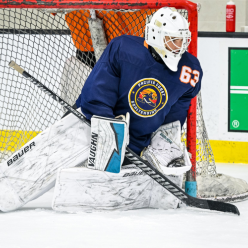 Alexander Lebedev - Stats & Facts - Elite Prospects