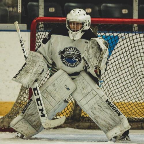 Nicholas Hansen - Elite Prospects