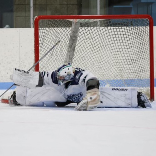 Logan Scott - Stats, Contract, Salary & More