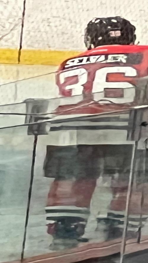 Sander Selvaer - Stats & Facts - Elite Prospects