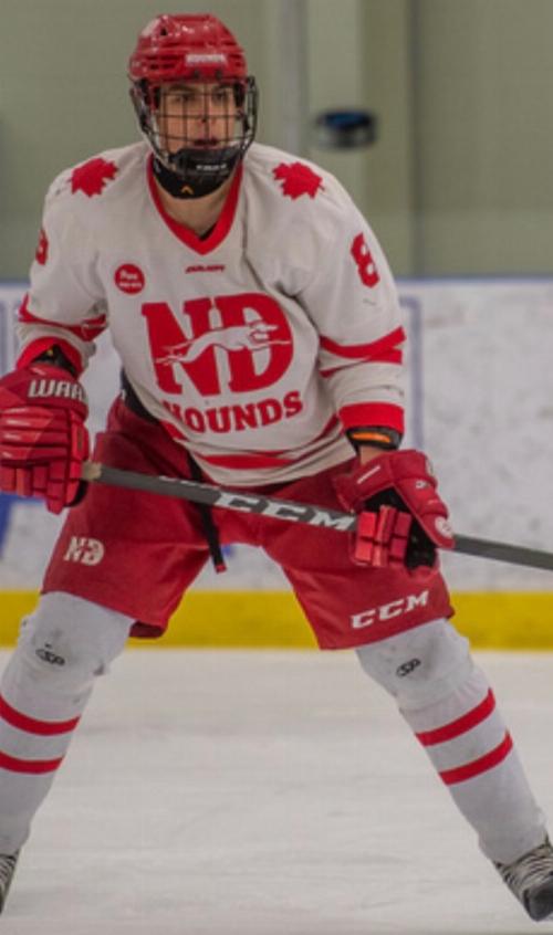 Jaxsen Healey - Elite Prospects