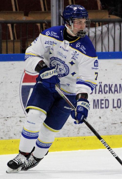 Hannes Hellberg - Elite Prospects