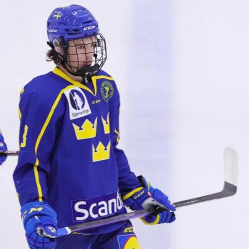 Joe Wahlund - Stats & Facts - Elite Prospects